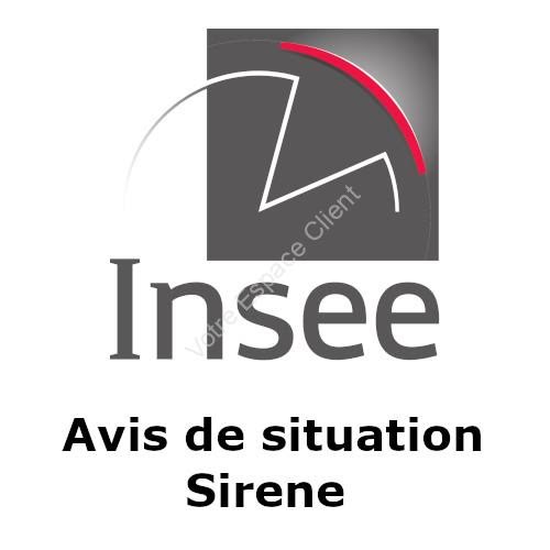 Démarche en ligne pour obtenir l'avis de situation au répertoire Sirene Démarche en ligne pour obtenir l'avis de situation au répertoire Sirene